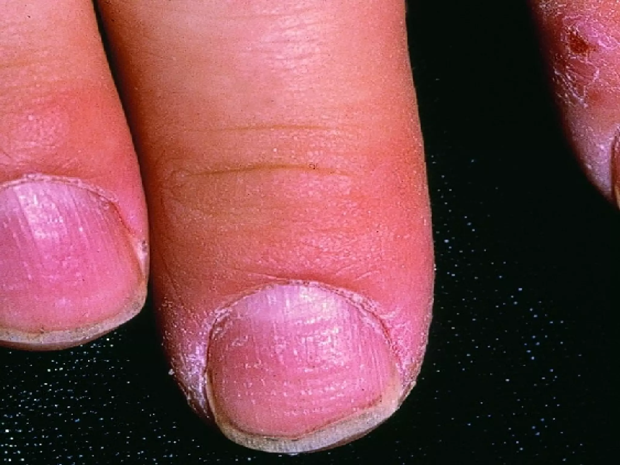 Nargess Tavakoli | PPT