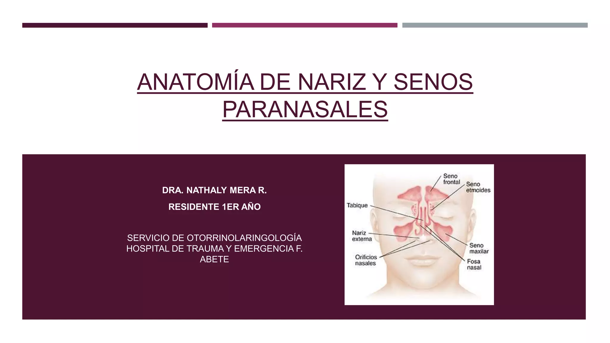 nariz y senos paranasales anatomia | PPTX | Ear, Nose and Throat ...