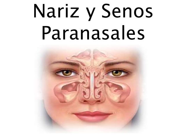 Nariz y senos paranasales (Otorrinolaringologia)