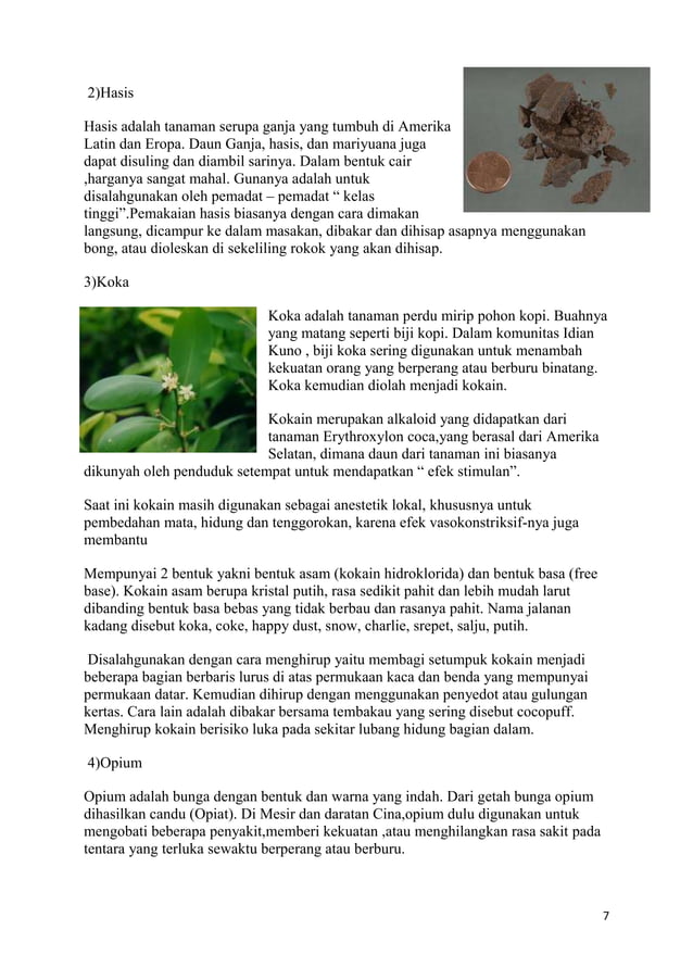 Narkoba | PDF
