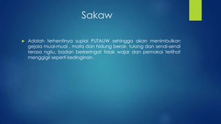 Bahaya dan Jenis Jenis Narkoba | PPTX