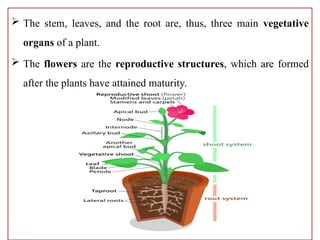 lecture note used as reference for students | PPTX