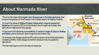 Narmada Bachao Andolan Case Study