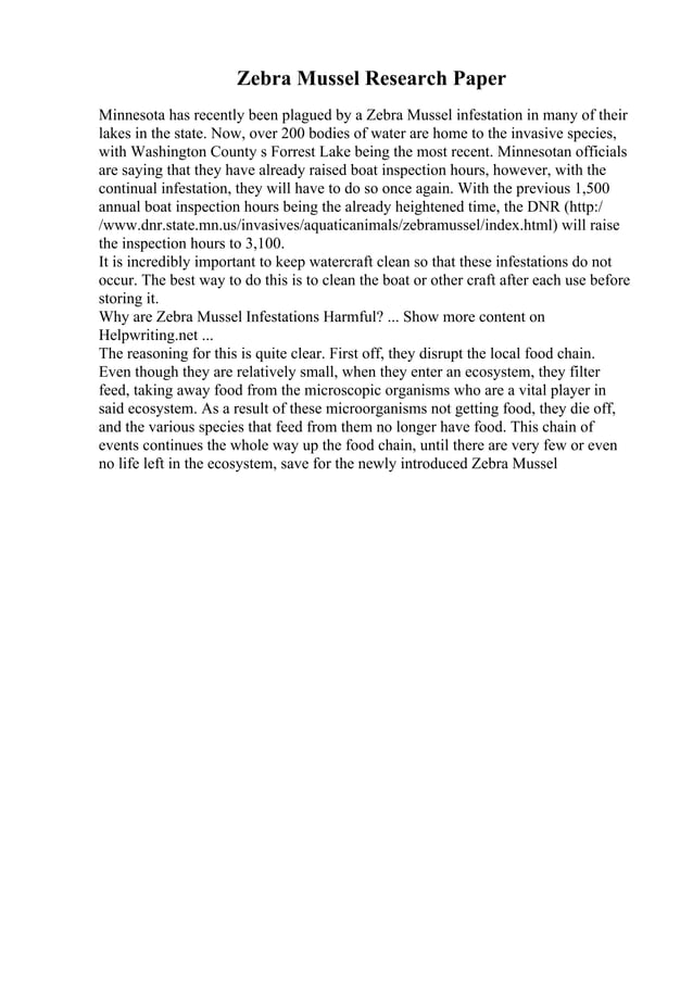 Narrative Essay Example High School.pdf | College Planning | College ...