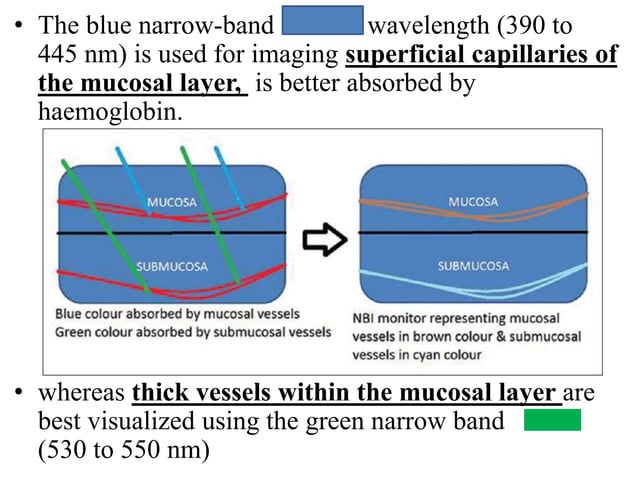 Narrow band imaging | PPTX