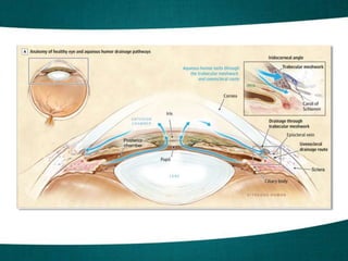 Narrow angles talk | PPTX