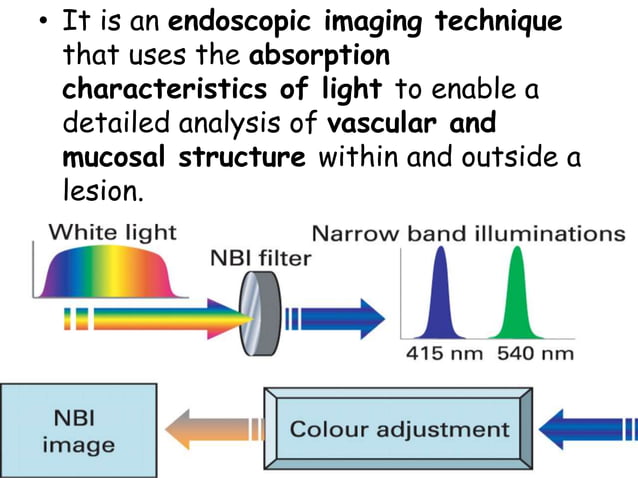 Narrow band imaging(nbi) in ent -Dr.Ashly Alexander | PPTX | Ear, Nose ...