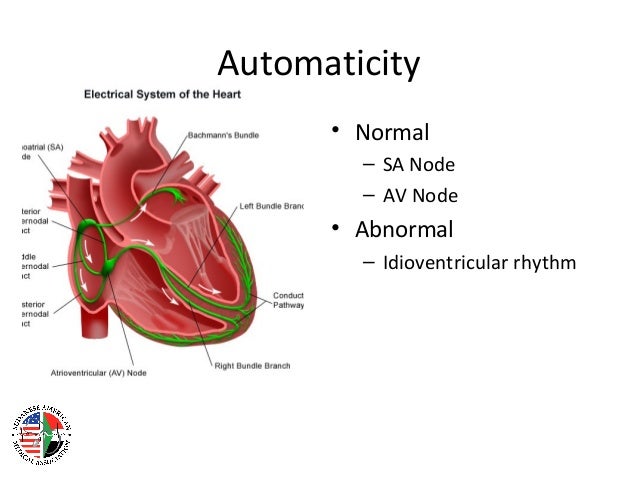 ARLC 2014 - Narrow complex tachycardias
