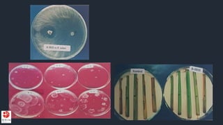 narsum-BBPOPT-Bbg.ppt