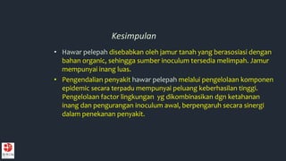 narsum-BBPOPT-Bbg.ppt