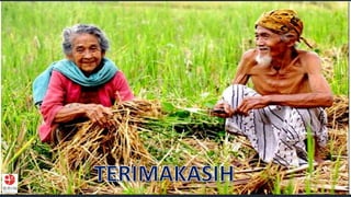 narsum-BBPOPT-Bbg.ppt