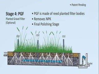 Narural ECO STP Plant | PPT