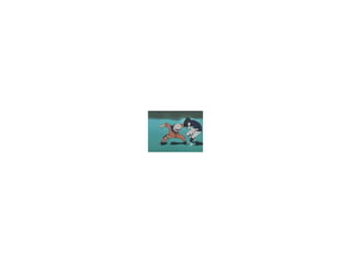 Naruto Slide Gifs | PPS