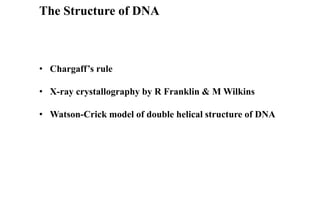 NAs.pptx assignment biochemistry part one | PPTX