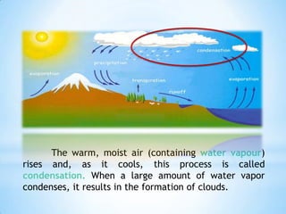 Hydrological Cycle (Water Cycle) | PPTX | Weather | Science