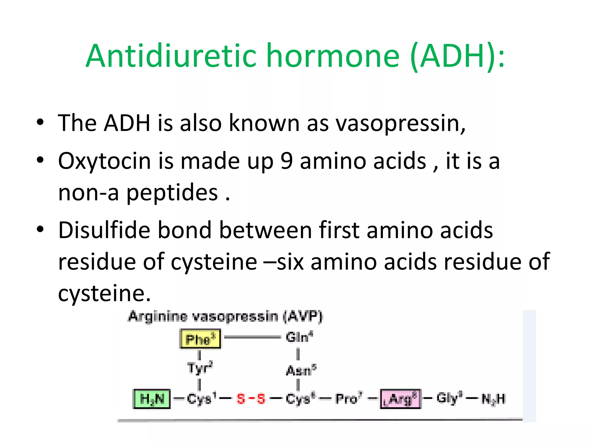 Pituitary and hypothalamic_hormones_ppt.-converted | PDF