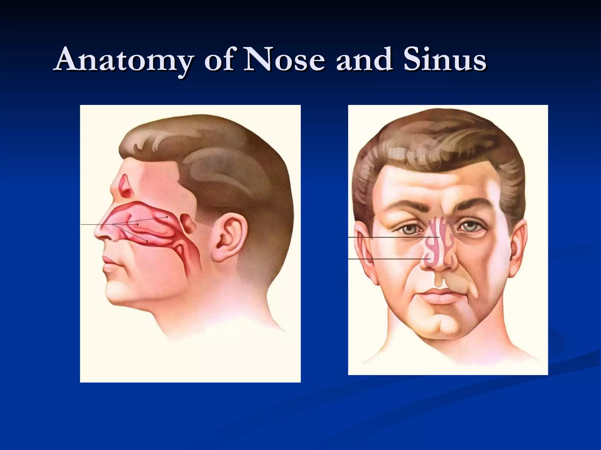 Nasal Allergy:Laser Treatment in India | PPT