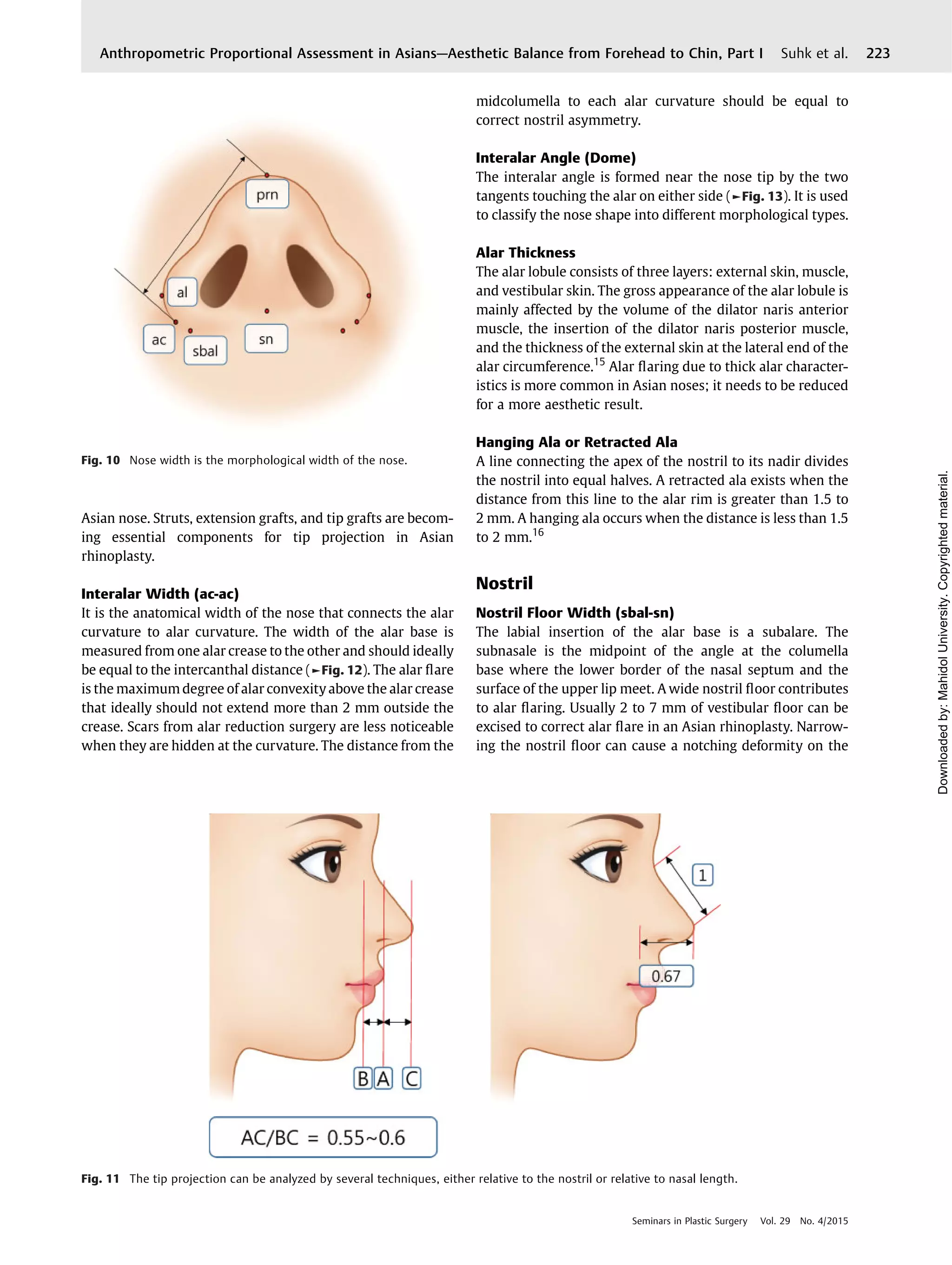 Nasal analysis and anatomy anthropometric proportional assessment in ...