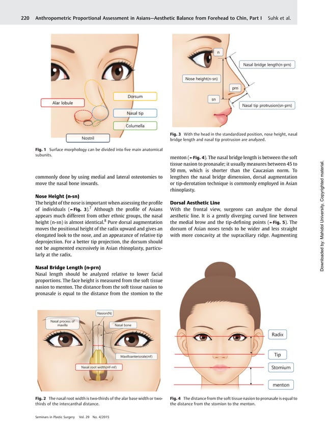 Nasal analysis and anatomy anthropometric proportional assessment in ...