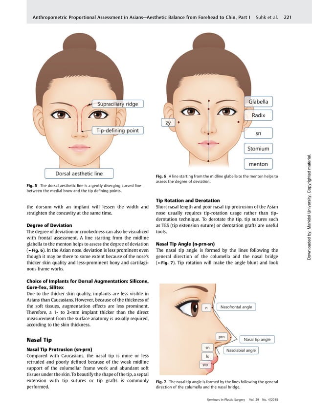 Nasal analysis and anatomy anthropometric proportional assessment in ...
