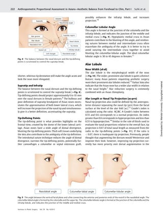 Nasal analysis and anatomy anthropometric proportional assessment in ...