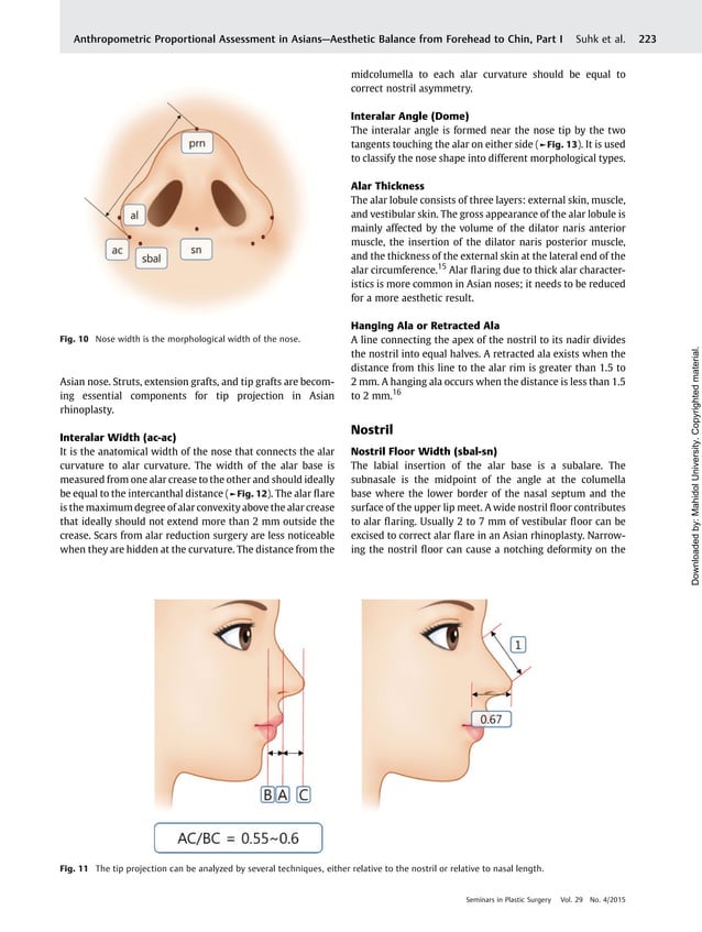Nasal analysis and anatomy anthropometric proportional assessment in ...