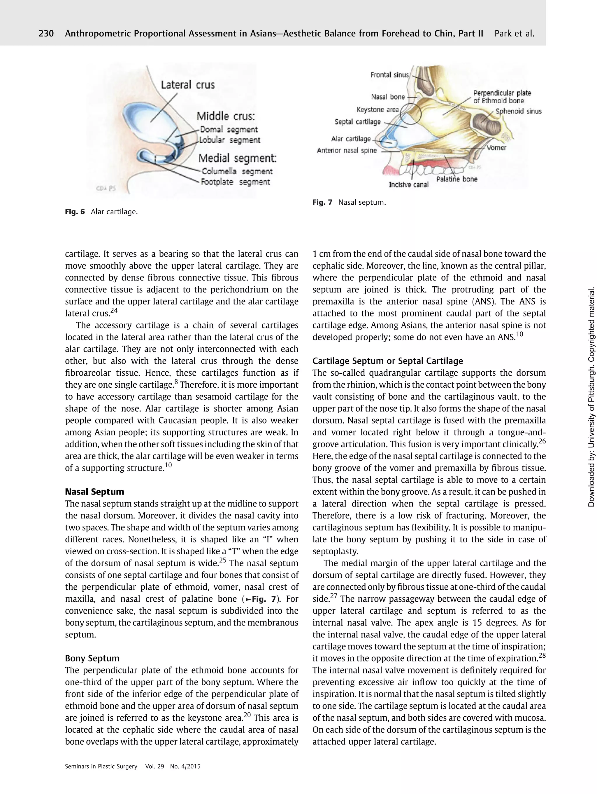 Nasal analysis and anatomy anthropometric proportional assessment in ...