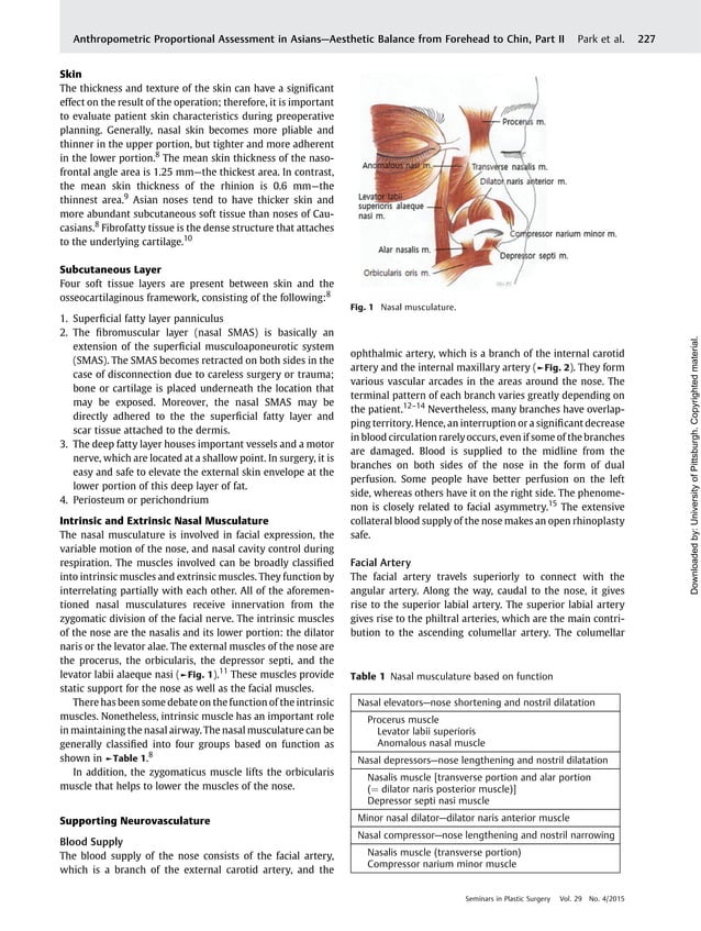 Nasal analysis and anatomy anthropometric proportional assessment in ...