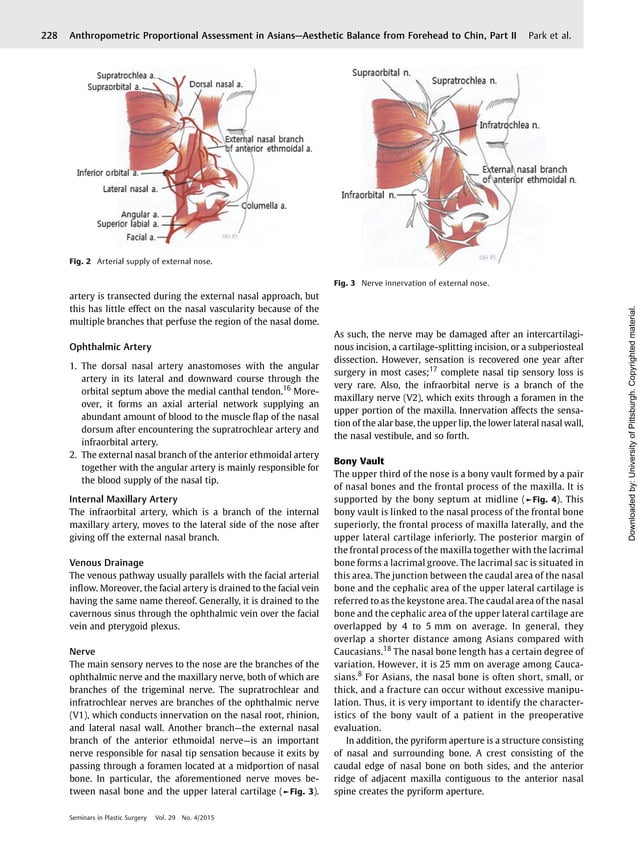 Nasal analysis and anatomy anthropometric proportional assessment in ...