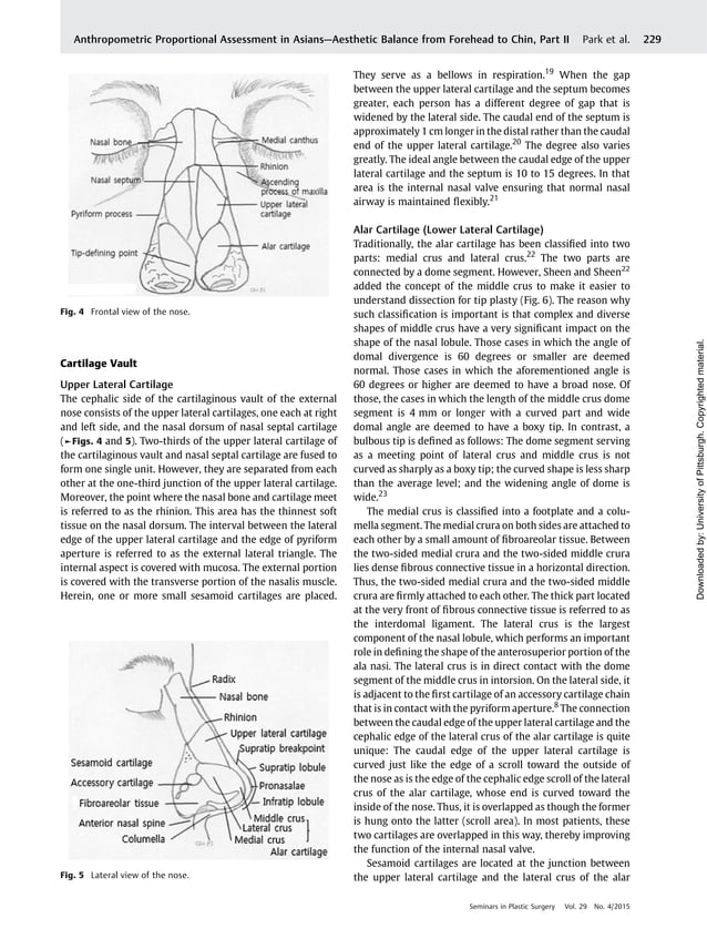 Nasal analysis and anatomy anthropometric proportional assessment in ...