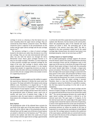 Nasal analysis and anatomy anthropometric proportional assessment in ...
