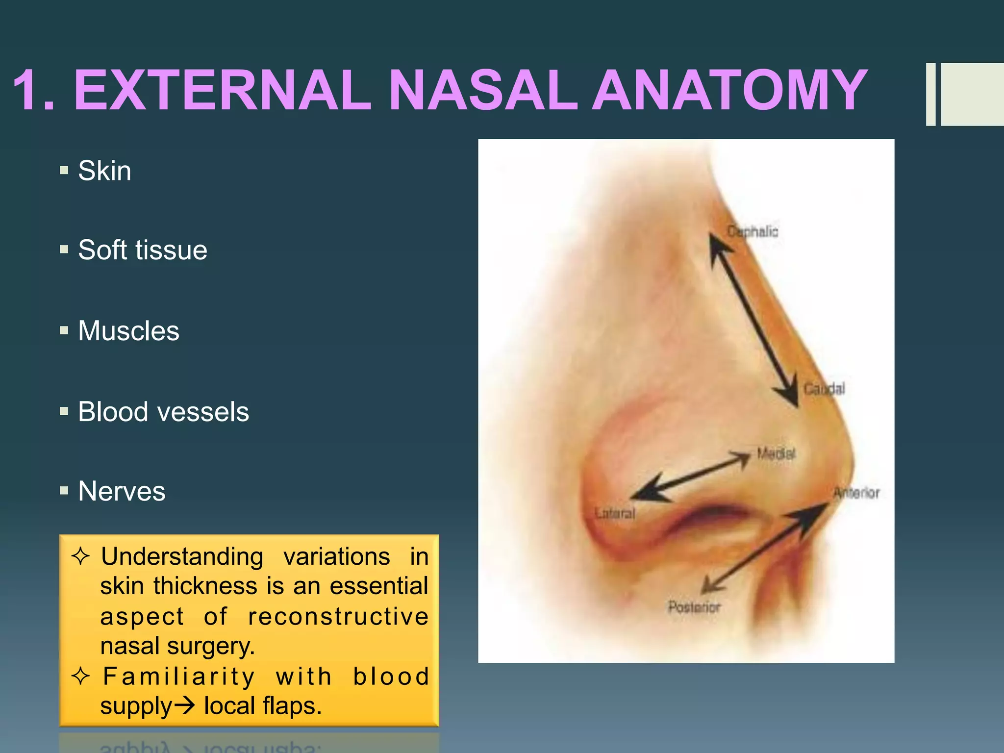 Nasal_Anatomy.pdf
