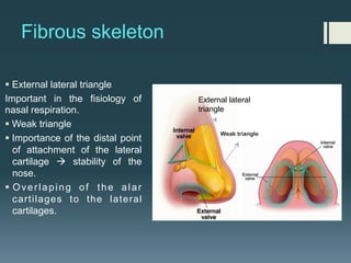 Nasal_Anatomy.pdf