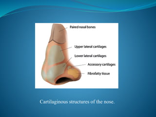 Nasal and nasoethmoidal fractures | PPTX
