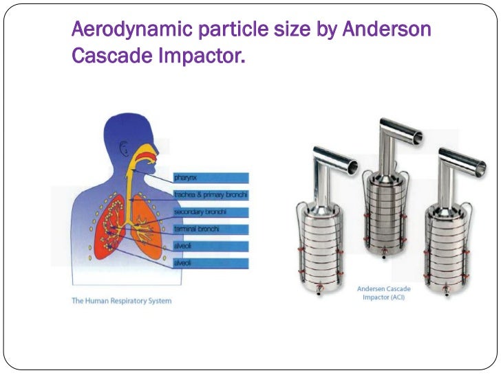 Nasal and pulmonary delivery system - Nainesh patel