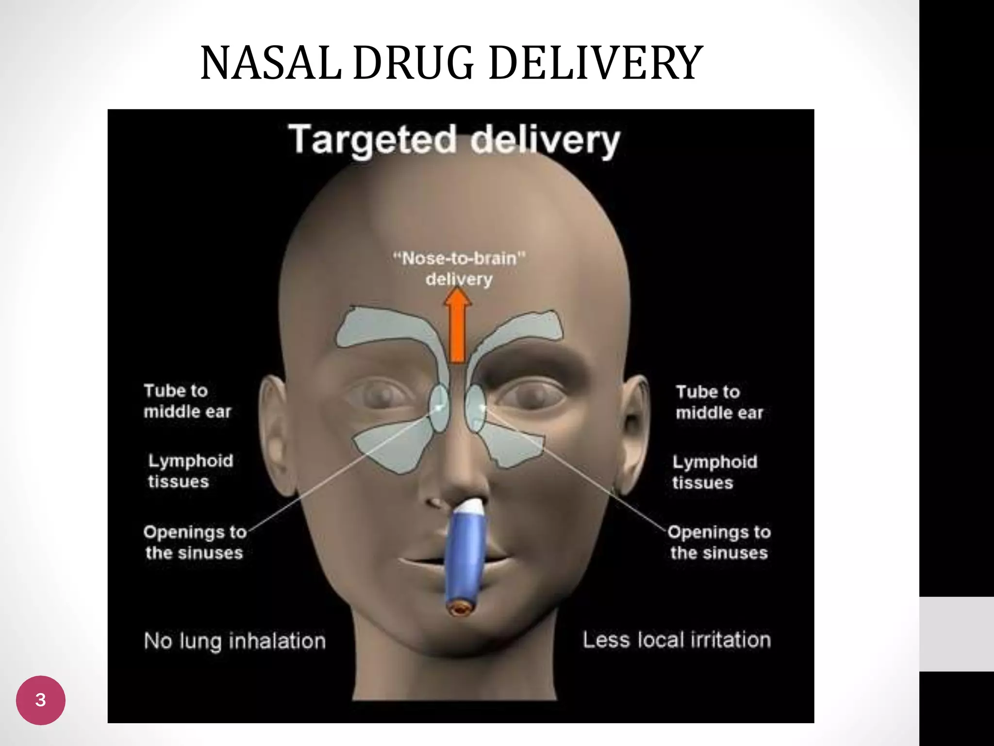 NASAL_AND_PULMONARY_DRUG_DELIVERY.pptx