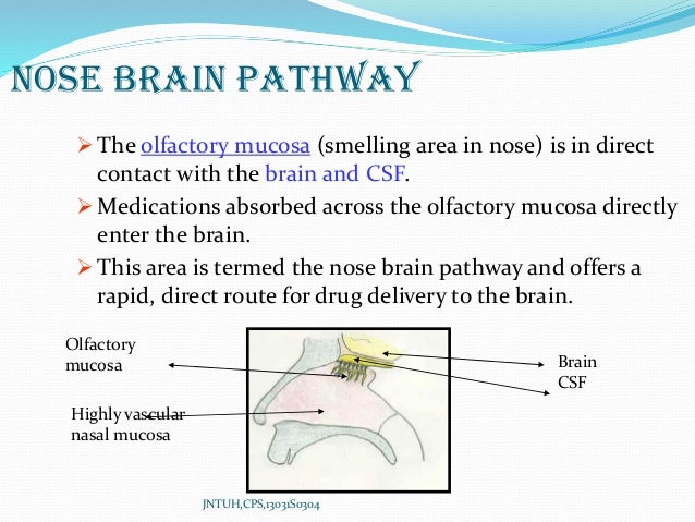 Nasal Drug Delivery System