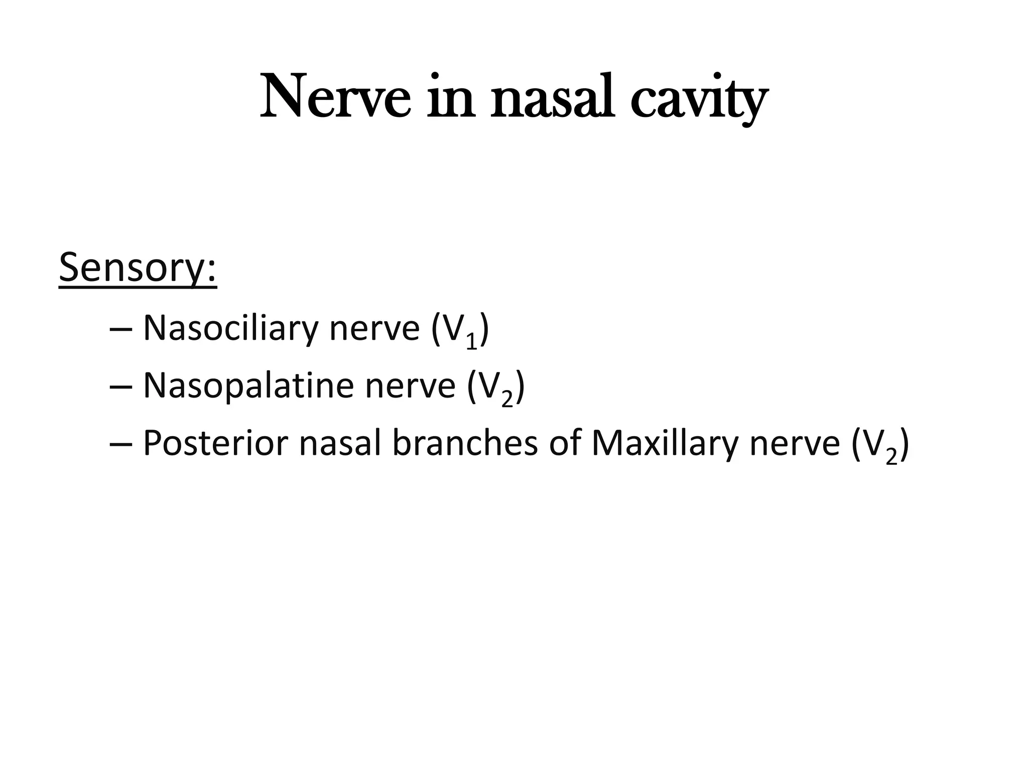 Nasal bone & nasal cavity | PPTX