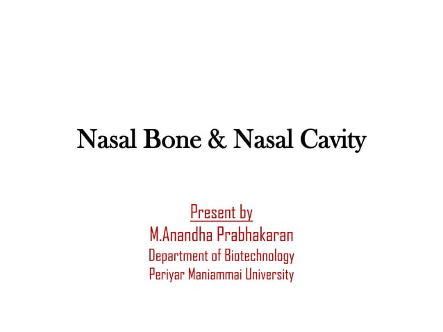 Nasal bone & nasal cavity | PPTX | Ear, Nose and Throat Conditions | Diseases and Conditions