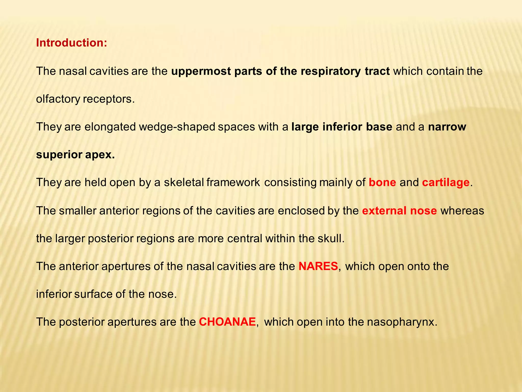 Nasal cavity | PDF