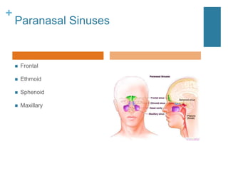 Nasal cavity and paranasal sinuses radiologic anatomy | PPTX