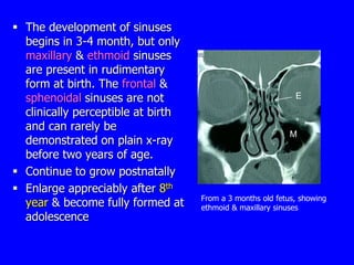 Nasal cavity | PDF
