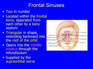 Nasal cavity | PDF
