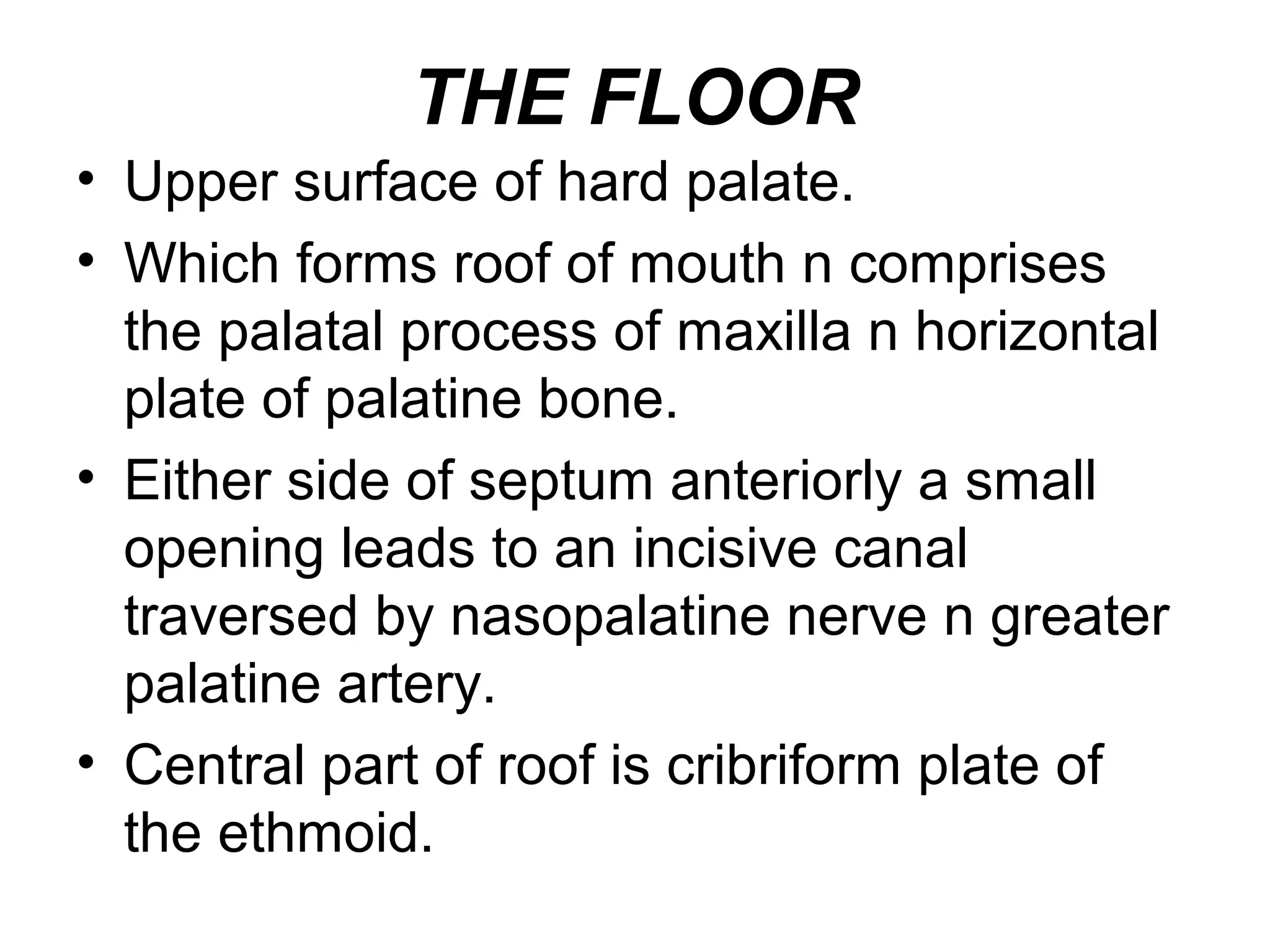 Nasal Cavity Anatomy | PPT