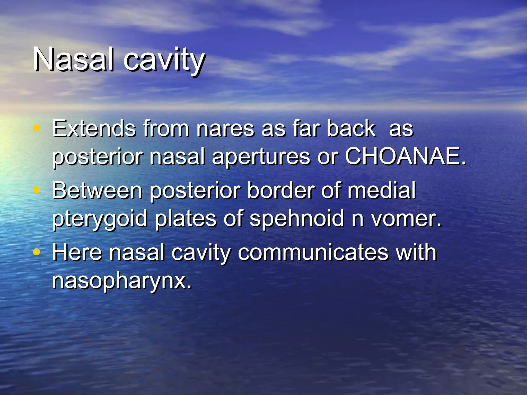 Nasal Cavity Anatomy | PPT