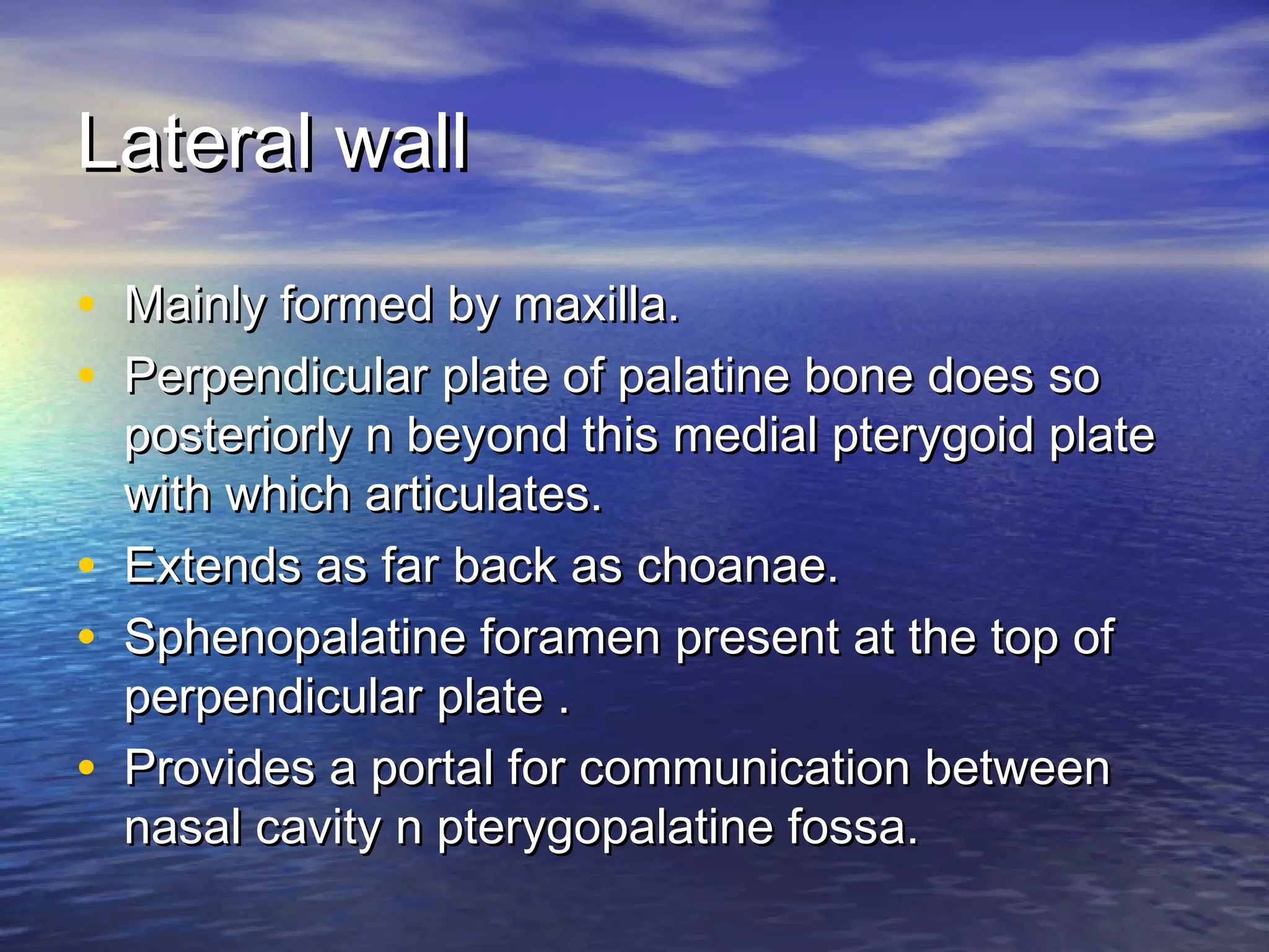 Nasal Cavity Anatomy | PPT