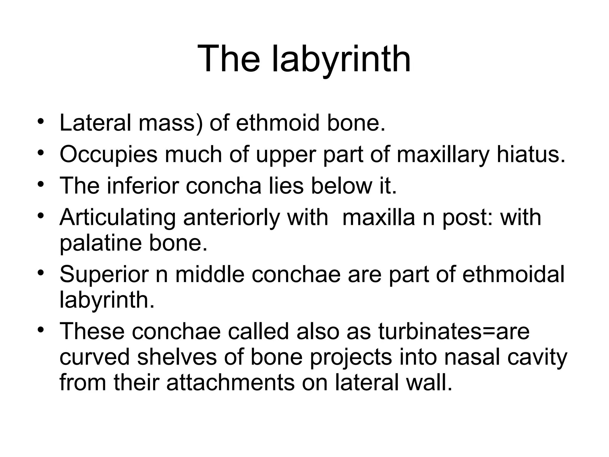 Nasal Cavity Anatomy | PPT