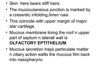 Nasal Cavity Anatomy | PPT