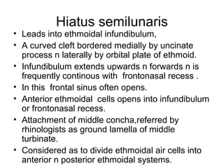 Nasal Cavity Anatomy | PPT