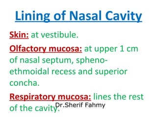 The Nose (Anatomy of the Neck) | PPS